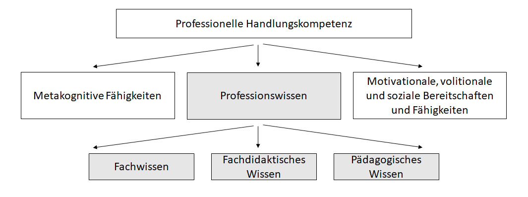 Exkurs: Professionelle Handlungskompetenz für gelingenden Unterricht ...