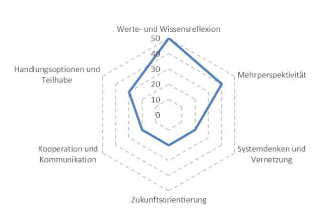 Kriterien-Spinnennetz – Netzwerk LeNa